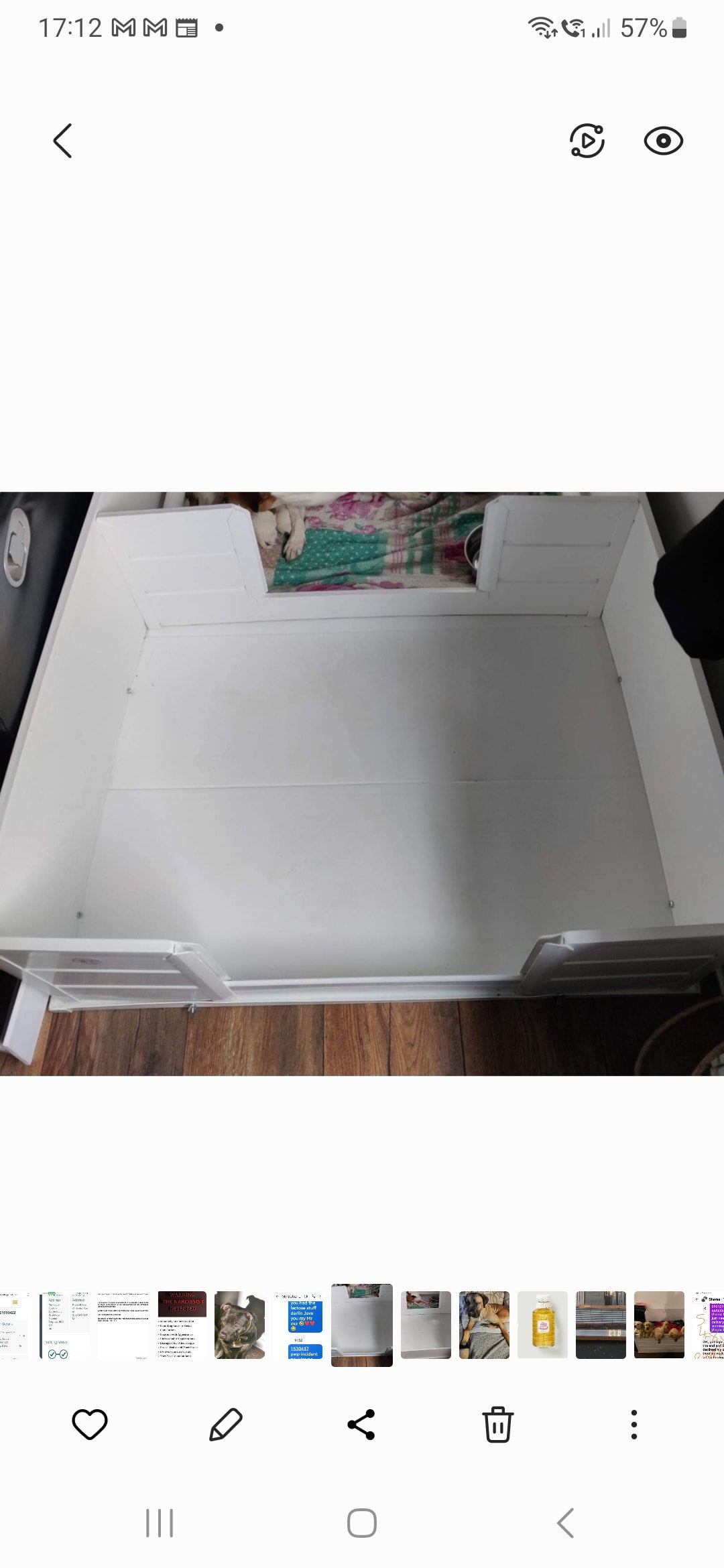 Universal attachable run 40x40x18 | Steel city whelping boxes,whelp ...